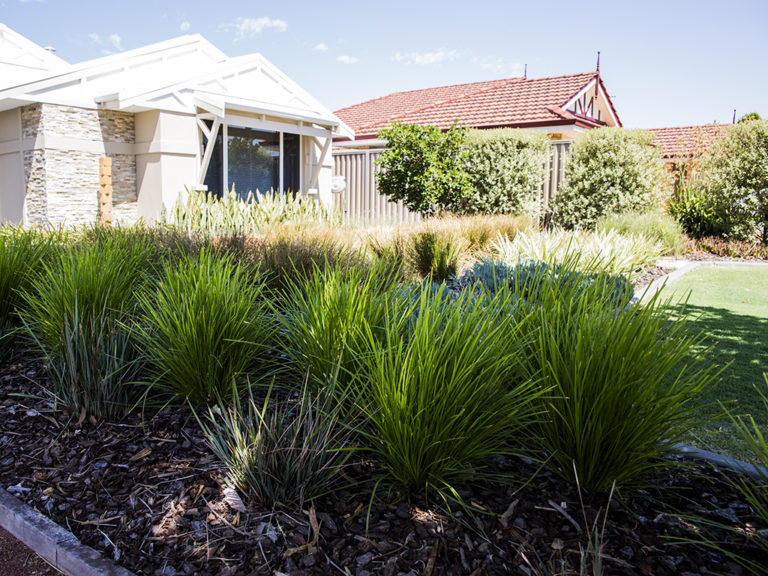 Waterwise Verge Best Practice Guidelines - Josh Byrne & Associates