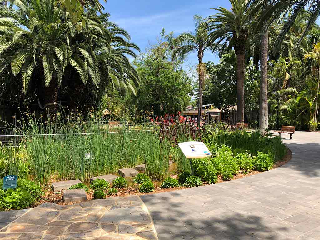 Perth Zoo Main Lake Refurbishment - Josh Byrne & Associates