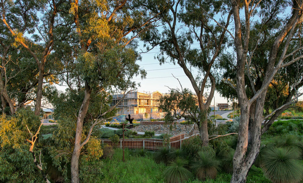 OneOneFive Hamilton Hill Development - Josh Byrne & Associates